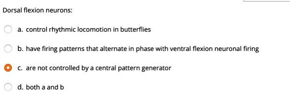 Dorsal flexion neurons: a. control rhythmic locomotion in butterflies b ...