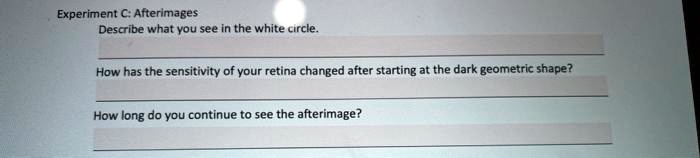 Experiment C: Afterimages Describe what you see in the white circle ...