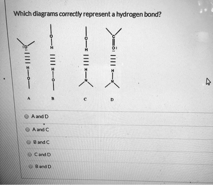 SOLVED: Which diagrams correctly represent a hydrogen bond? Aand D Aand ... SOLVED: Which diagrams correctly represent a hydrogen bond? Aand D Aand ...