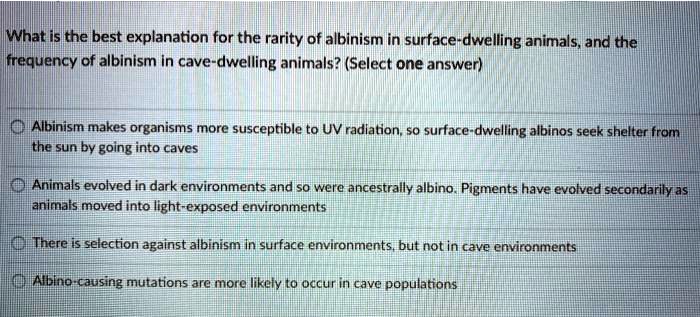 SOLVED: What isithe best explanation for the rarity of albinism in ...