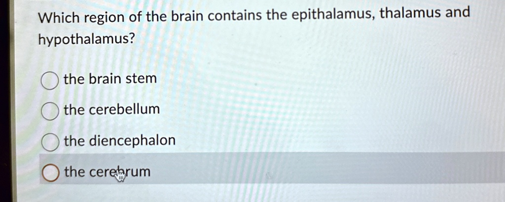 Which region of the brain contains the epithalamus, thalamus and ...