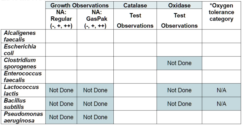 SOLVED: Growth Observations NA: NA: Regular GasPak++)++) Catalase Test ...
