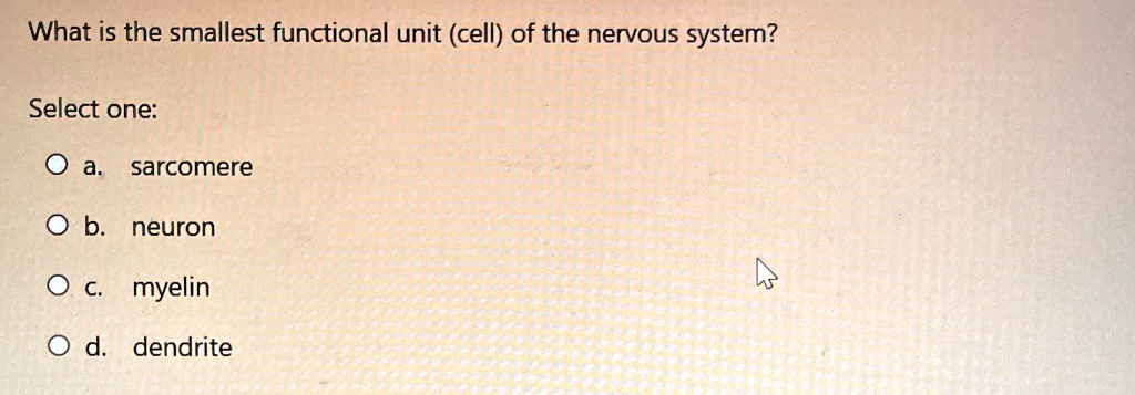 what is the smallest functional unit cell of the nervous system select ...