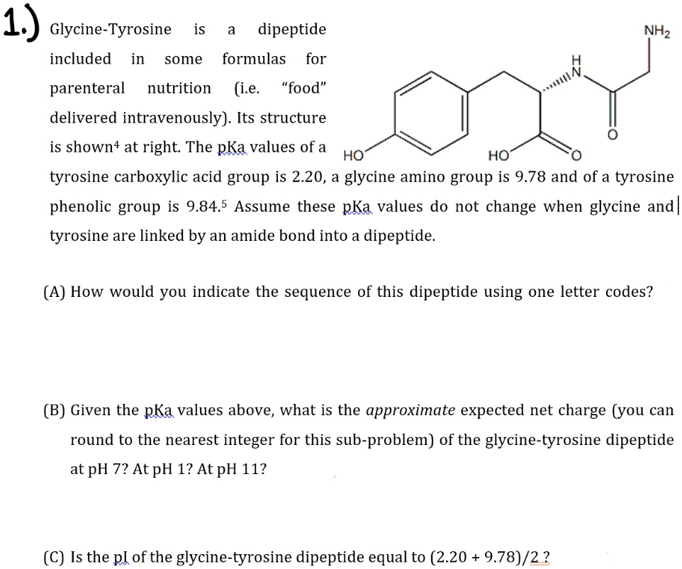 1 glycine tyrosine is dipeptide included in some formulas for nhz ...