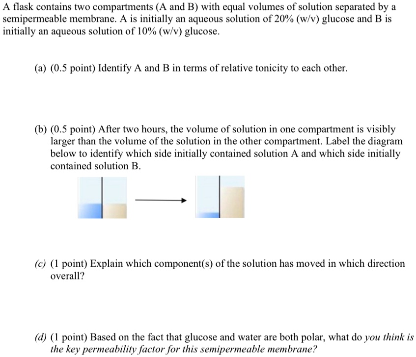 a flask contains two compartments a and b with equal volumes of solution separated by a ...