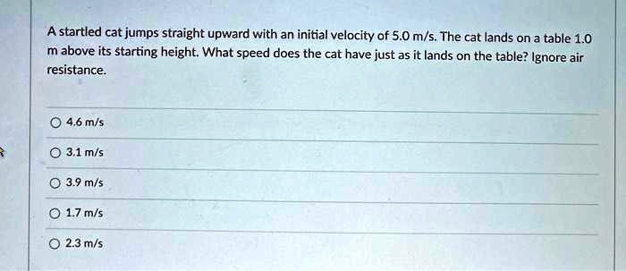 SOLVED: A startled cat jumps straight upward with an initial velocity ...