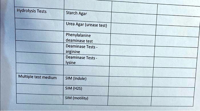 SOLVED: bacillus subtilis Hydrolysis Tests Starch Agar Urea Agar ...
