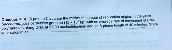 SOLVED: Question 4. A (6 points) Calculate the minimum number of replication originsemere OCDSN ...