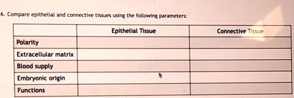6. Compare epithelial and connective tissues using the following ...