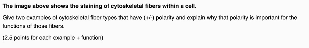the image above shows the staining of cytoskeletal fibers within a cell ...