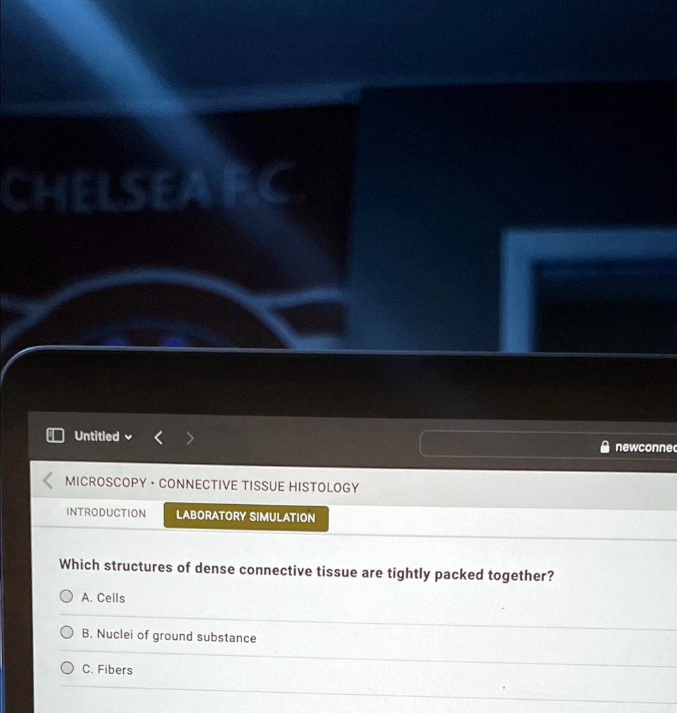 untitled v new connect microscopy connective tissue histology ...