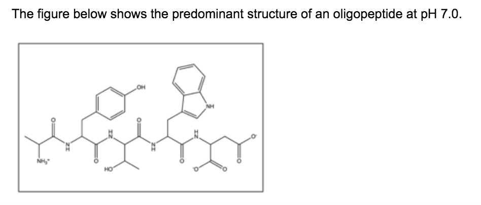 SOLVED: The figure below shows the predominant structure of an ...