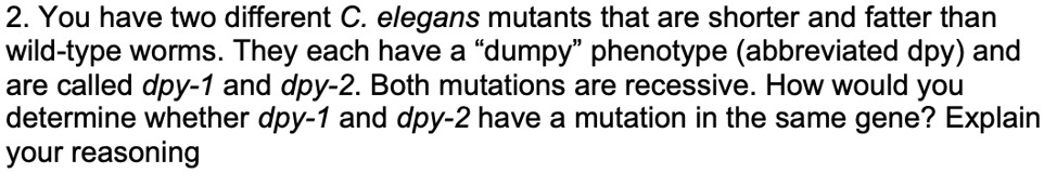 2. You have two different C. elegans mutants that are shorter and ...