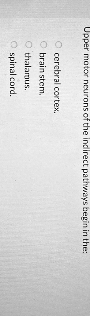 Upper motor neurons of the indirect pathways begin in the: cerebral ...