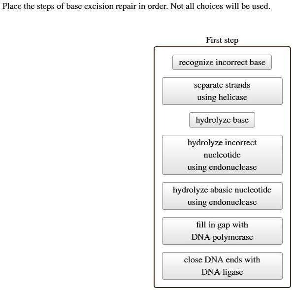 SOLVED: Place the steps of base excision repair in order: Not all ...