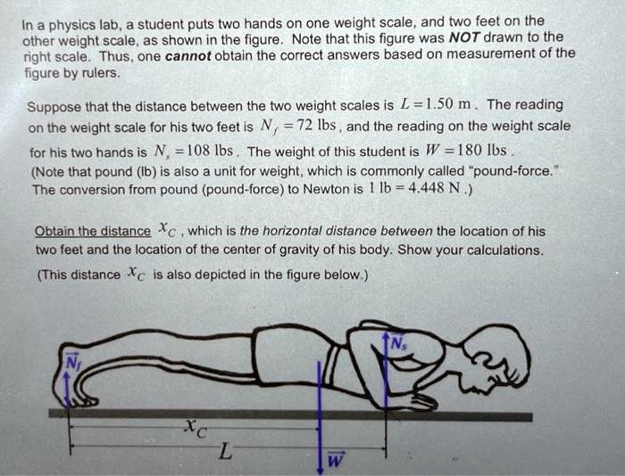SOLVED: In a physics lab, a student puts two hands on one weight scale, and two feet on the ...