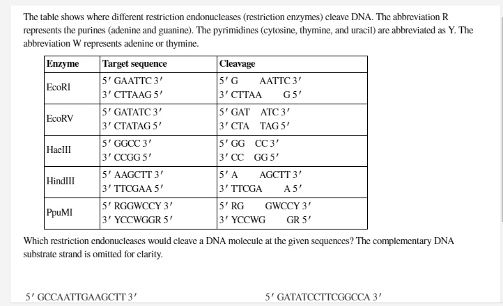 SOLVED:The table shows where different restriction endonucleases (restriction enzymes) cleave ...