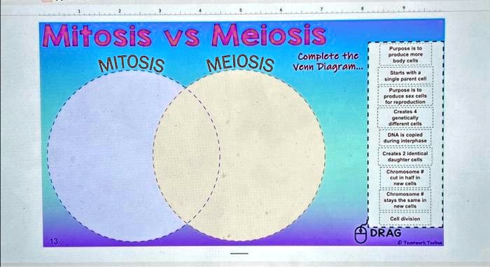 Solved 3 Mitosis Vs Meiosis Mitosis Meiosis 13 Complete The Venn Diagram 9 Purpose Is To