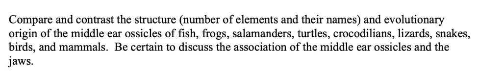 SOLVED: Compare and contrast the structure (number of elements and ...
