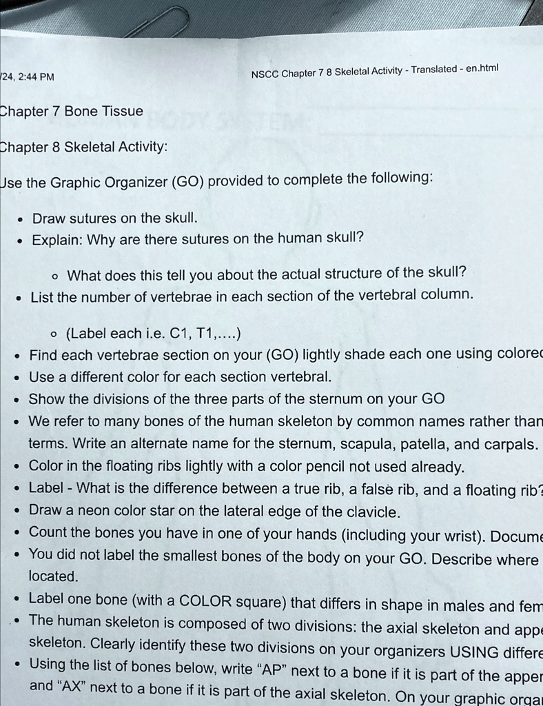 chapter 7 bone tissue chapter 8 skeletal activity use the graphic organizer go provided to ...