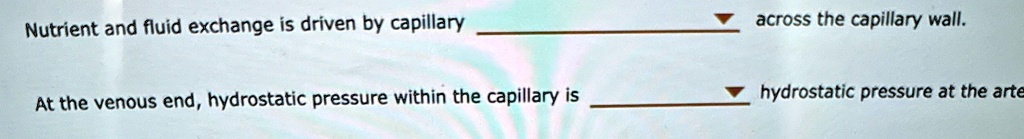 Nutrient and fluid exchange is driven by capillary across the capillary ...
