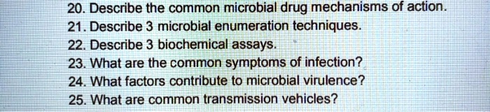 SOLVED: 20. Describe the common microbial drug mechanisms of action 21 ... SOLVED: 20. Describe the common microbial drug mechanisms of action 21 ...