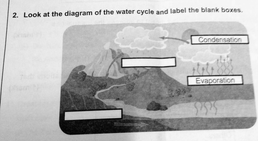 SOLVED: Look at the diagram of the water cycle and label the blank ...