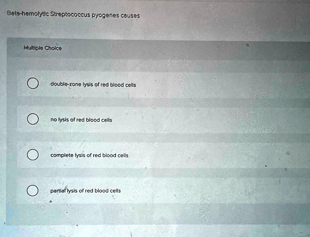 Beta-hemolytic Streptococcus pyogenes causes Multiple Choice double ...