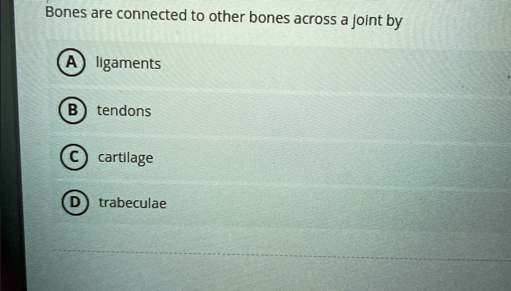 Bones are connected to other bones across a joint by ligaments tendons ...