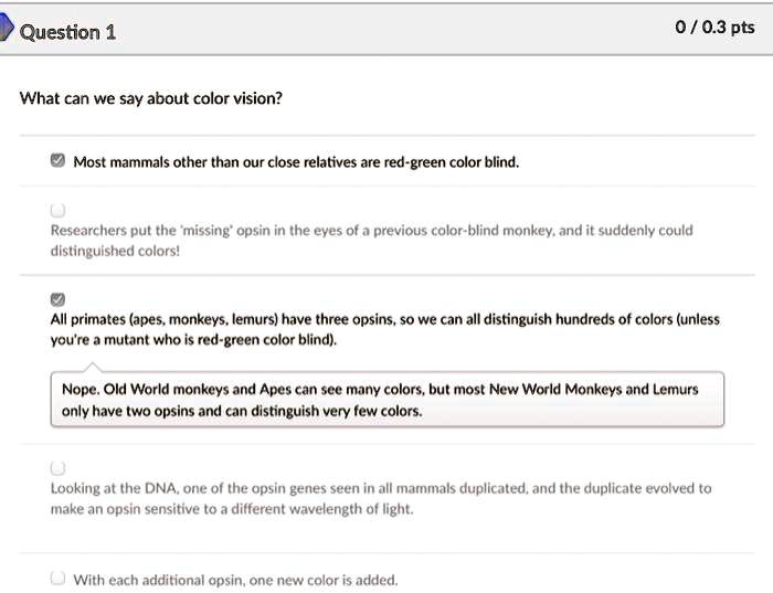 question 1 003 pts what can we say about color vision most mammals ...