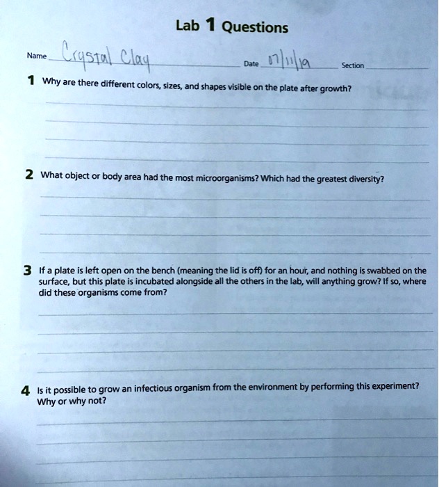 SOLVED: Lab 1 Questions Name: Acys1al Llay Date: Section: Why are there ...