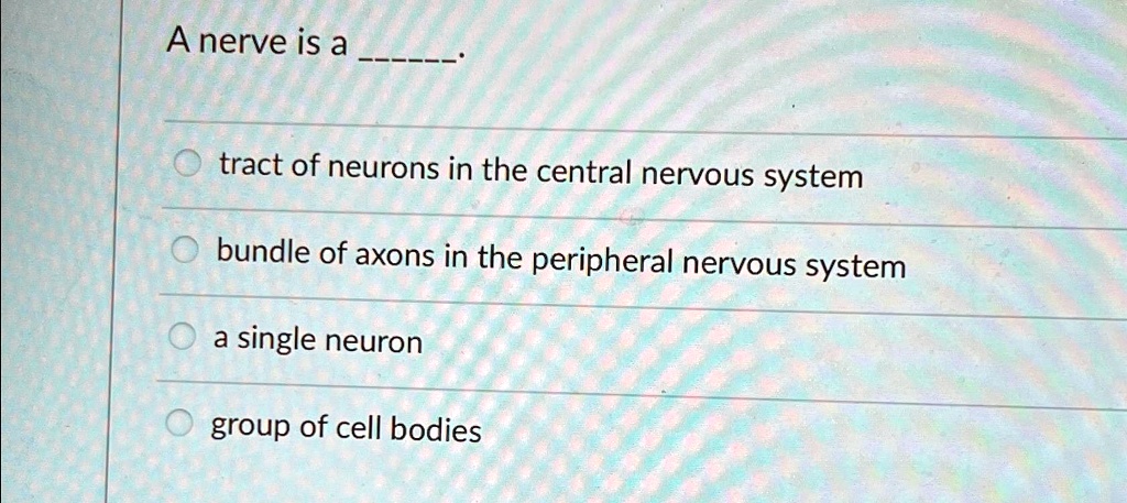 A nerve is a . tract of neurons in the central nervous system bundle of ...