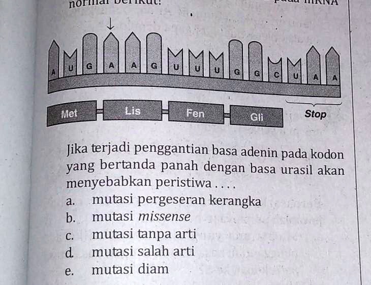 SOLVED: jika terjadi penggantian basa adenin pada kodon yang berbeda ...