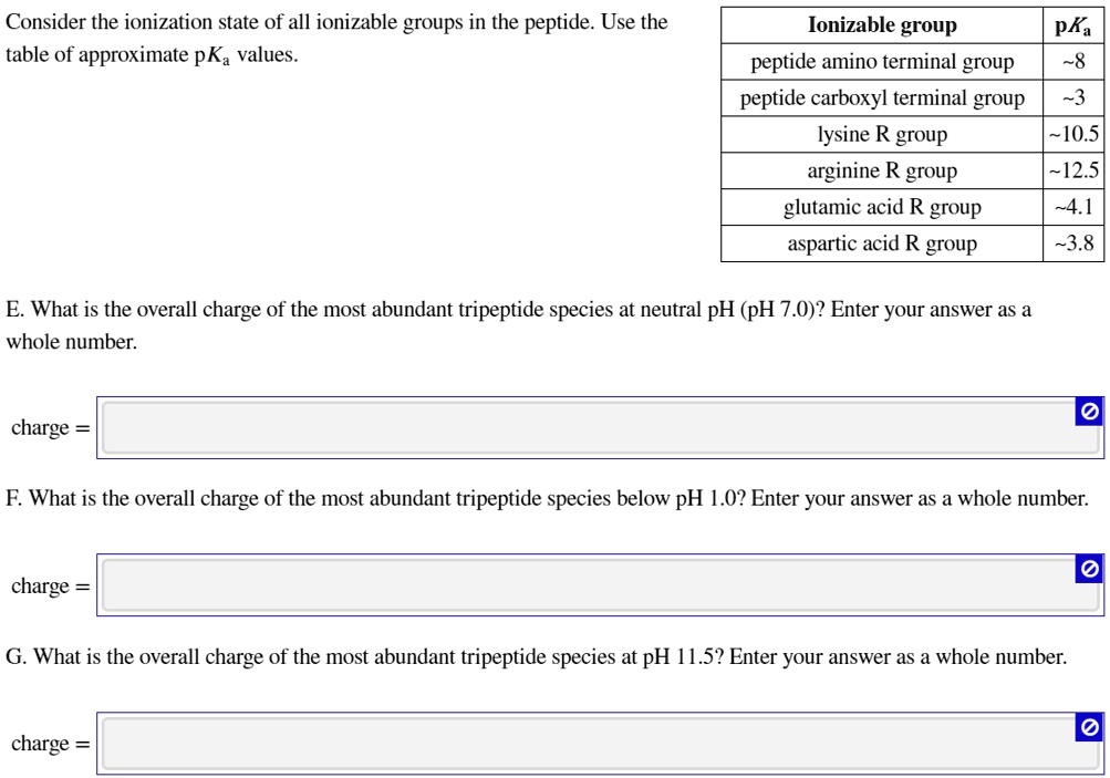 consider the ionization state of all ionizable groups in the peptide ...