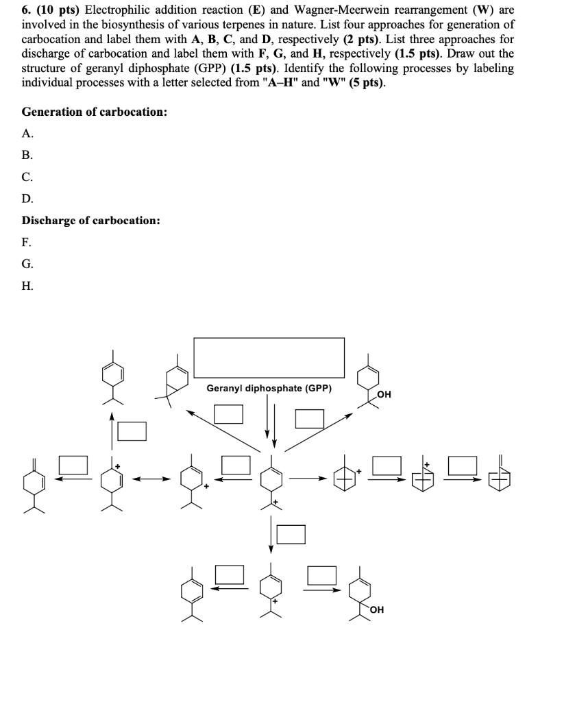 SOLVED: Generation of carbocation: A. Electrophilic addition reaction B ...