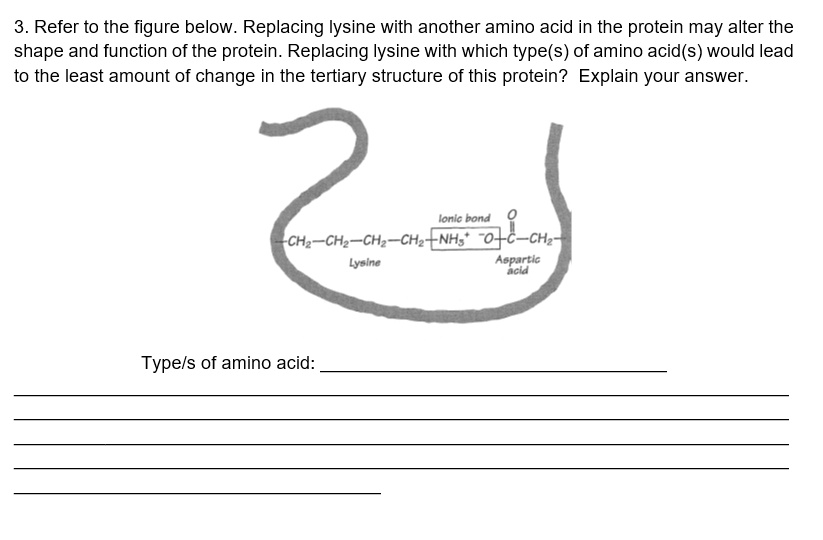 [GET ANSWER] 3. Refer to the figure below. Replacing lysine with ...