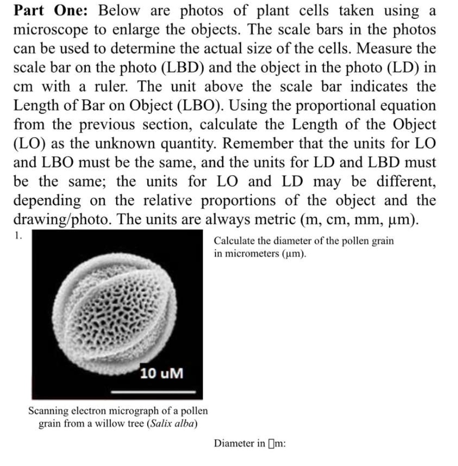 Part One: Below are photos of plant cells taken using a microscope to ...