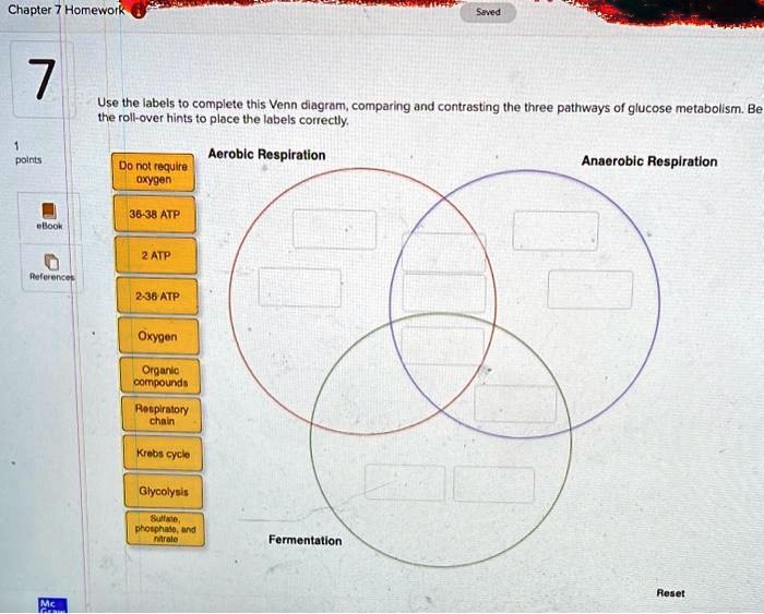 Chapter 7 Homework 7 Saved Use the labels to complete this Venn diagram, comparing and ...