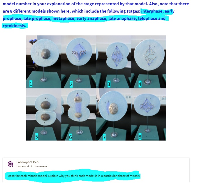 model number in your explanation ofthe stage represented by that model ...