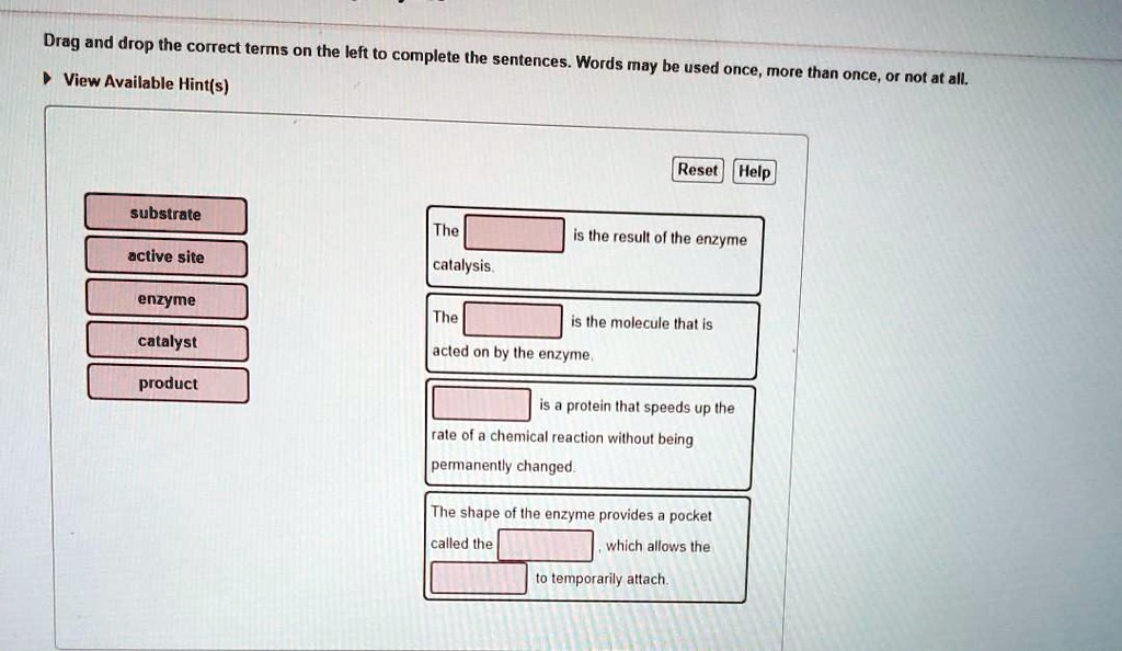 Solved Drag And Drop The Correct Terms On The Left To Complete The