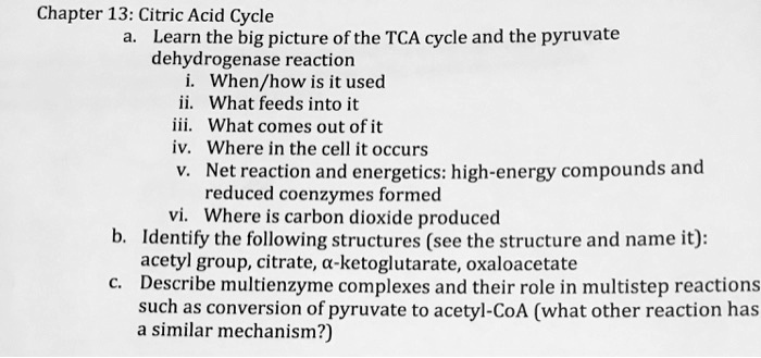 SOLVED: Chapter 13: Citric Acid Cycle Learn the big picture ofthe TCA ...