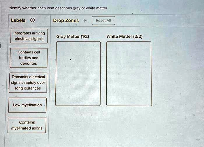 SOLVED: Texts: Identify whether each item describes gray or white ... SOLVED: Texts: Identify whether each item describes gray or white ...