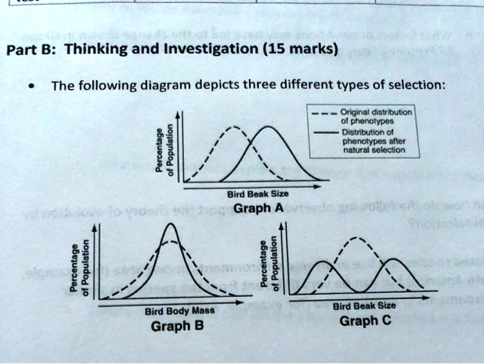SOLVED: Part B: Thinking and Investigation (15 marks) The following ...