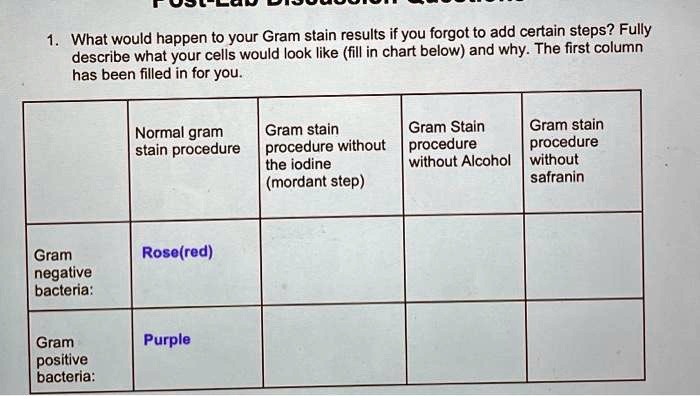 SOLVED: What would happen to your Gram stain results if you forgot to ...