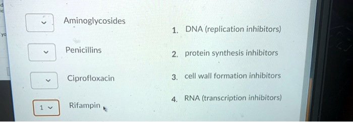 SOLVED: Aminoglycosides DNA (replication inhibitors) Penicillins ...