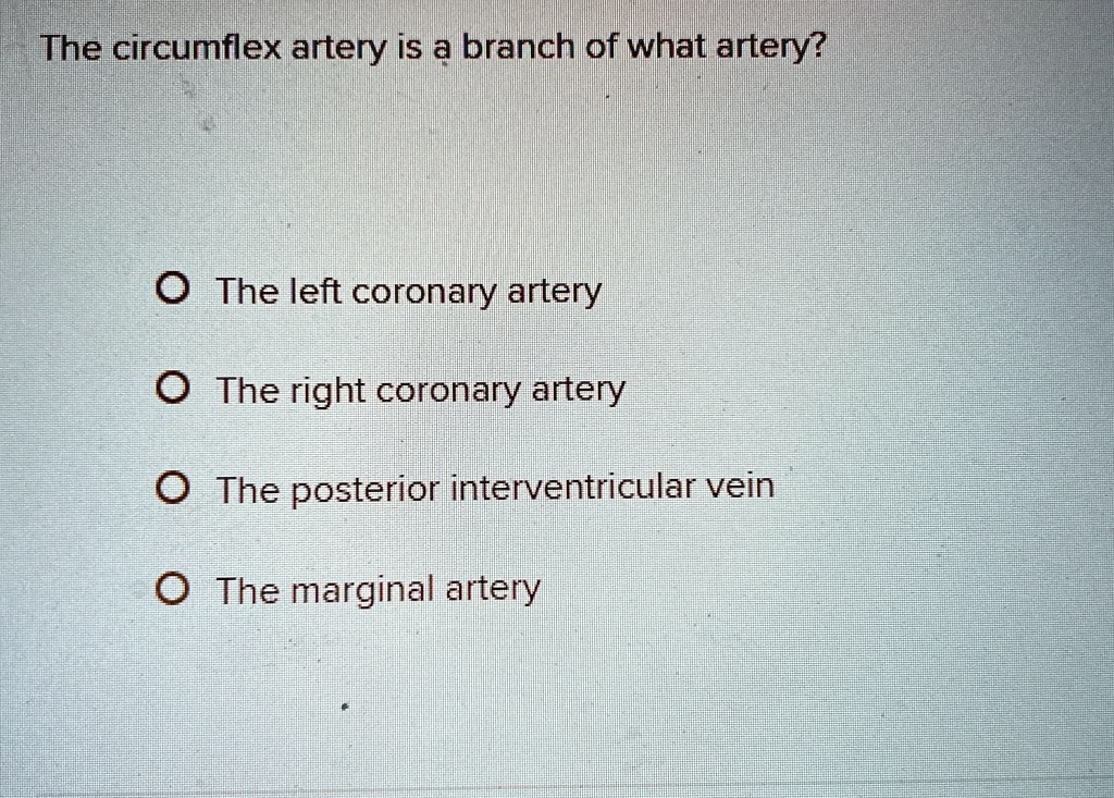 The circumflex artery is a branch of what artery? The left coronary ...