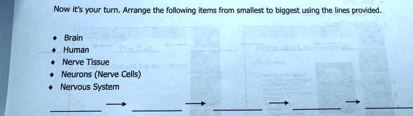 SOLVED: 'arrange the following to smallest to biggest Now its your turn. Arrange the following ...