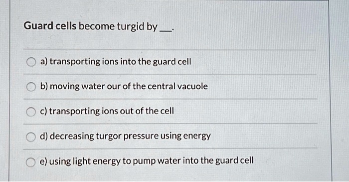 SOLVED: Guard cells become turgid by a) transporting ions into the ...