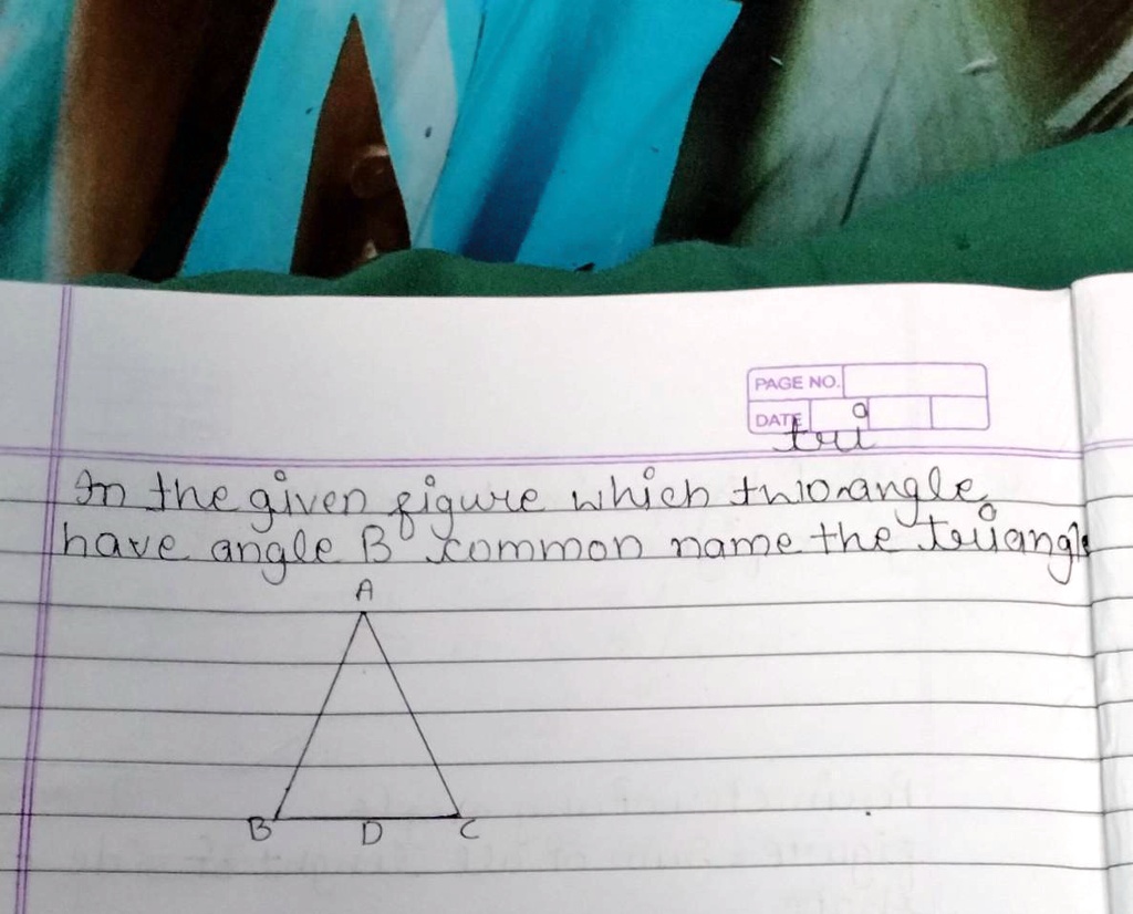 Solved In The Given Figure Which Two Triangle Have Angle B Common 1253