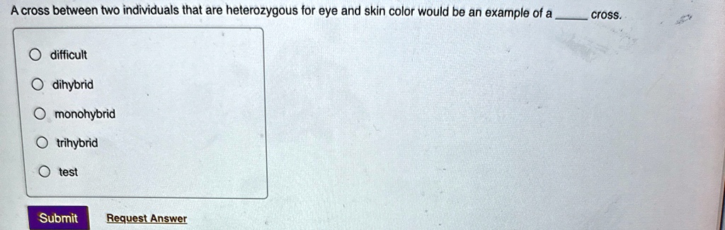 a cross between two individuals that are heterozygous for eye and skin ...